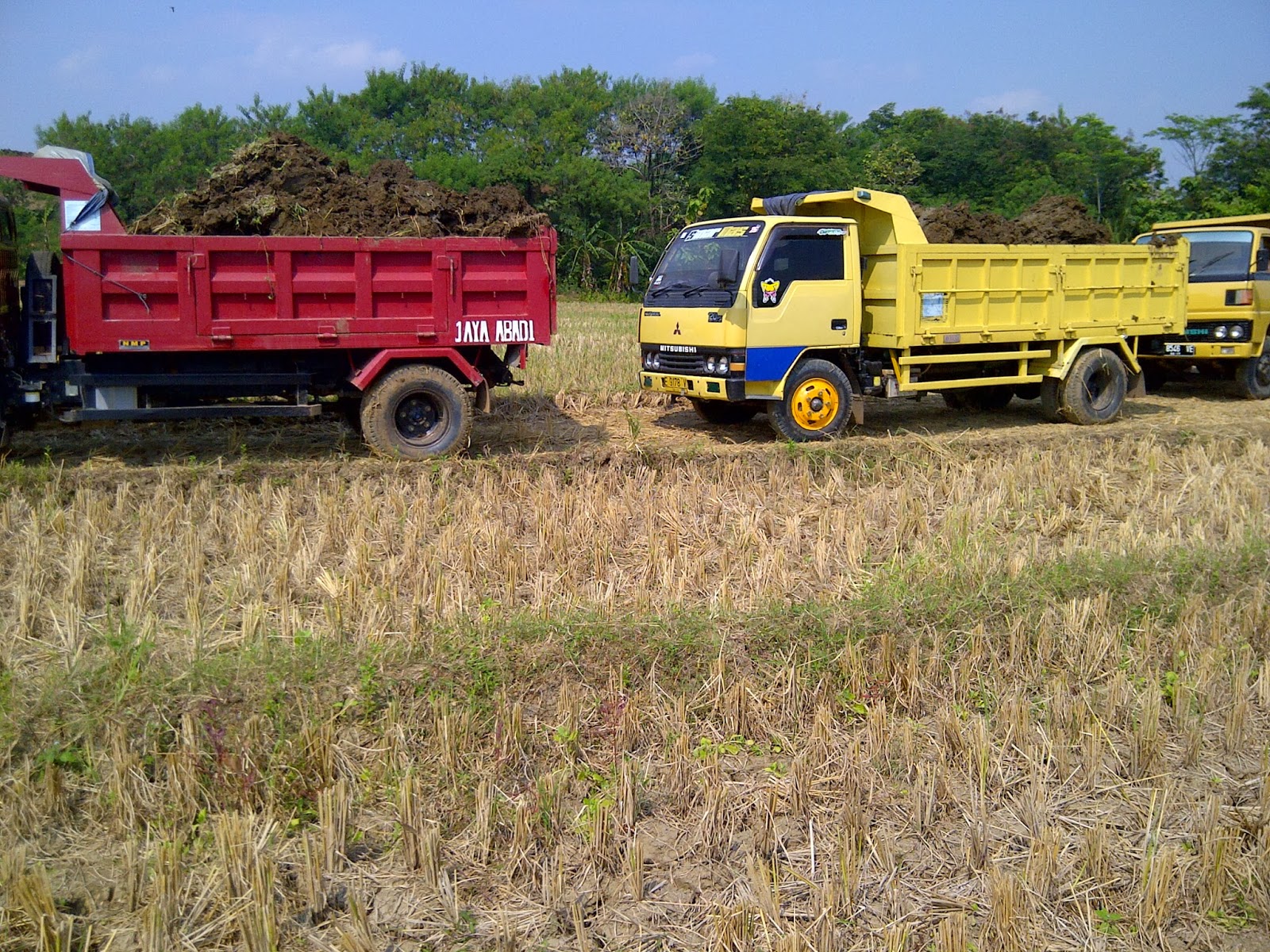 Genteng Jatiwangi Morando Glasur Keramik: Proses Pengambilan tanah Liat