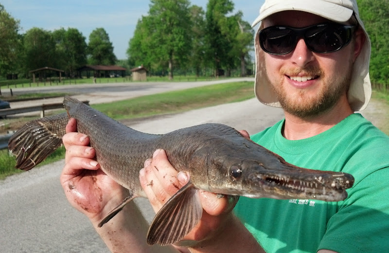 Ben Cantrell's fish species blog: Return to southern Illinois: toothy ...