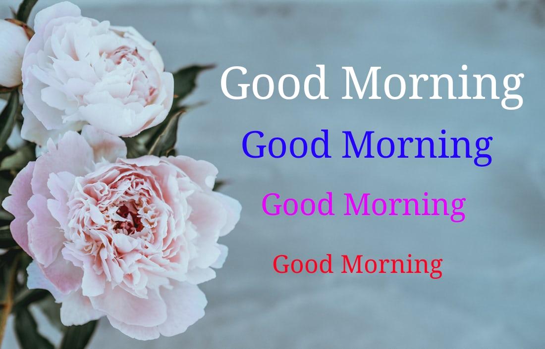 Top 10 Good Morning Images greeting Pictures,Photos for Whatsapp - Good ...