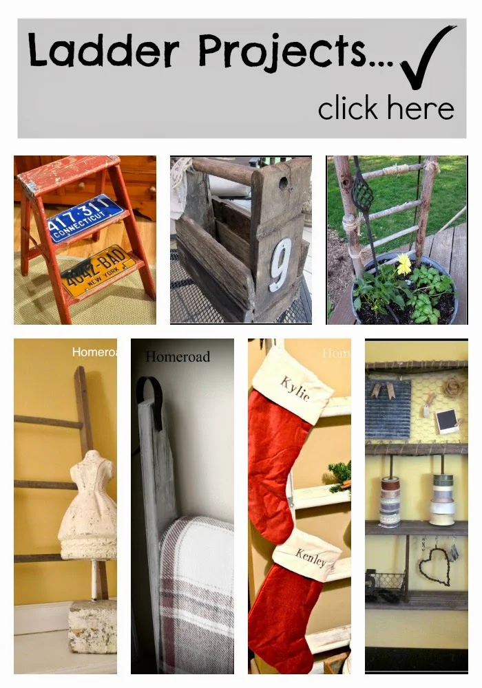 Ladder Craft Organizer