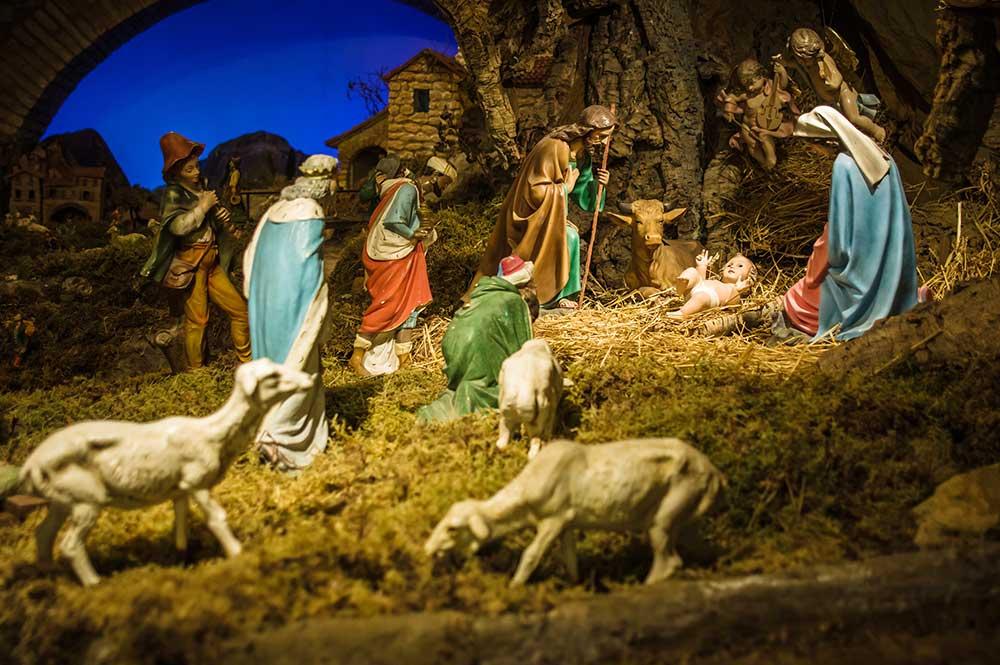 What Is Special About Christmas Truelife what-is-special-about-christmas-truelife