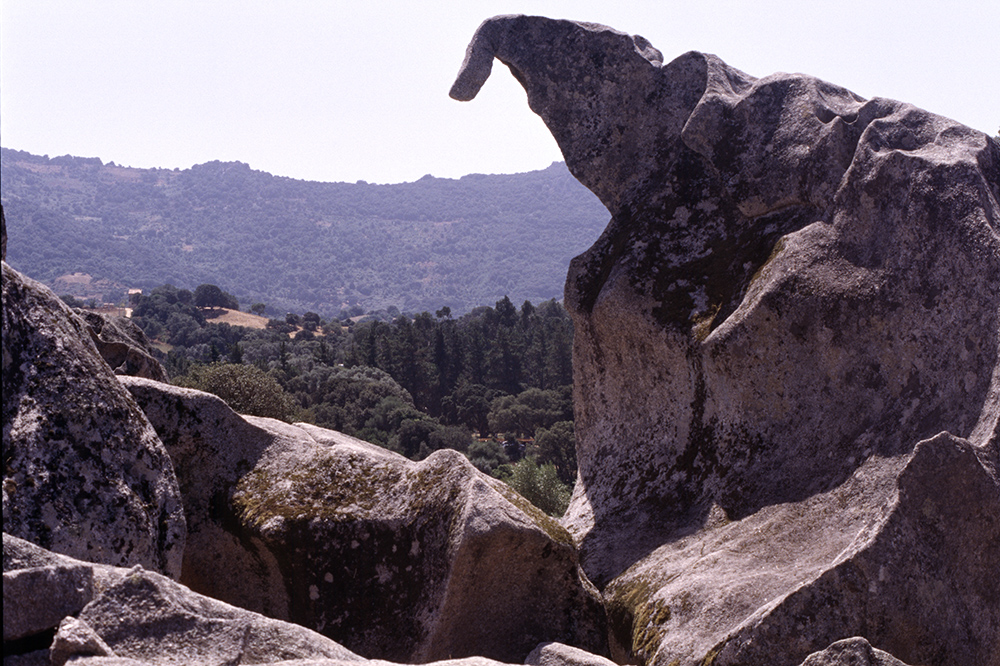 Soffia il vento dell'est: Luoghi del cuore 56: Rocce e mare di Corsica