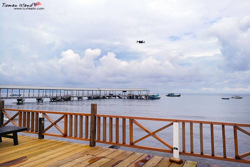Kampung Asah Waterfall of Tioman Island 徒步刁曼岛寻【甘榜阿沙瀑布】 - 乐飞翎 ♥ LUVFEELIN