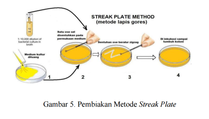 PERBEDAAN ISOLASI BAKTERI SECARA POUR PLATE,STREAK PLATE, DAN SPREAD PLATE
