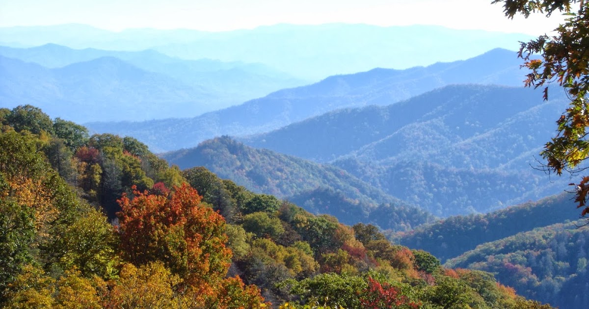Mai Thai Wanderings: Fall Foliage at the Great Smoky Mountains National ...