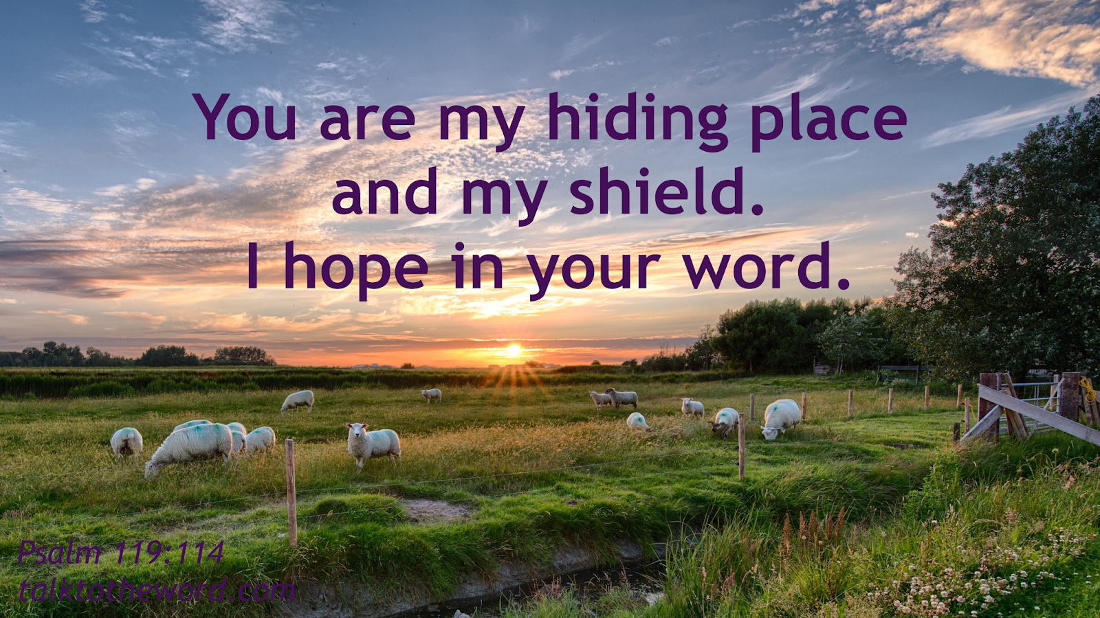 PIB Psalm 119 125 Posters pib-psalm-119-125-posters