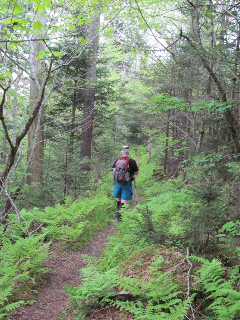 Blue Roads to Hiking Trails: Fork Ridge Trail