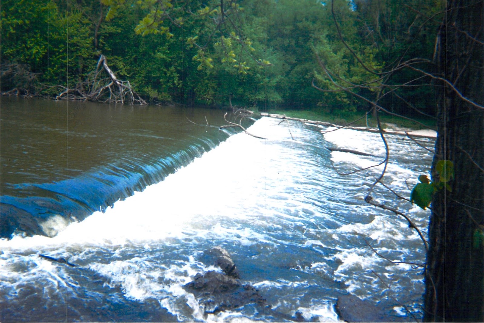 Chuck's Adventures: Des Plaines River Canoe Marathon