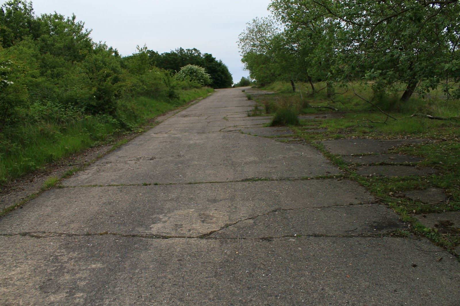 RAF Lincolnshire: RAF North Witham - D-Day and a brief History.