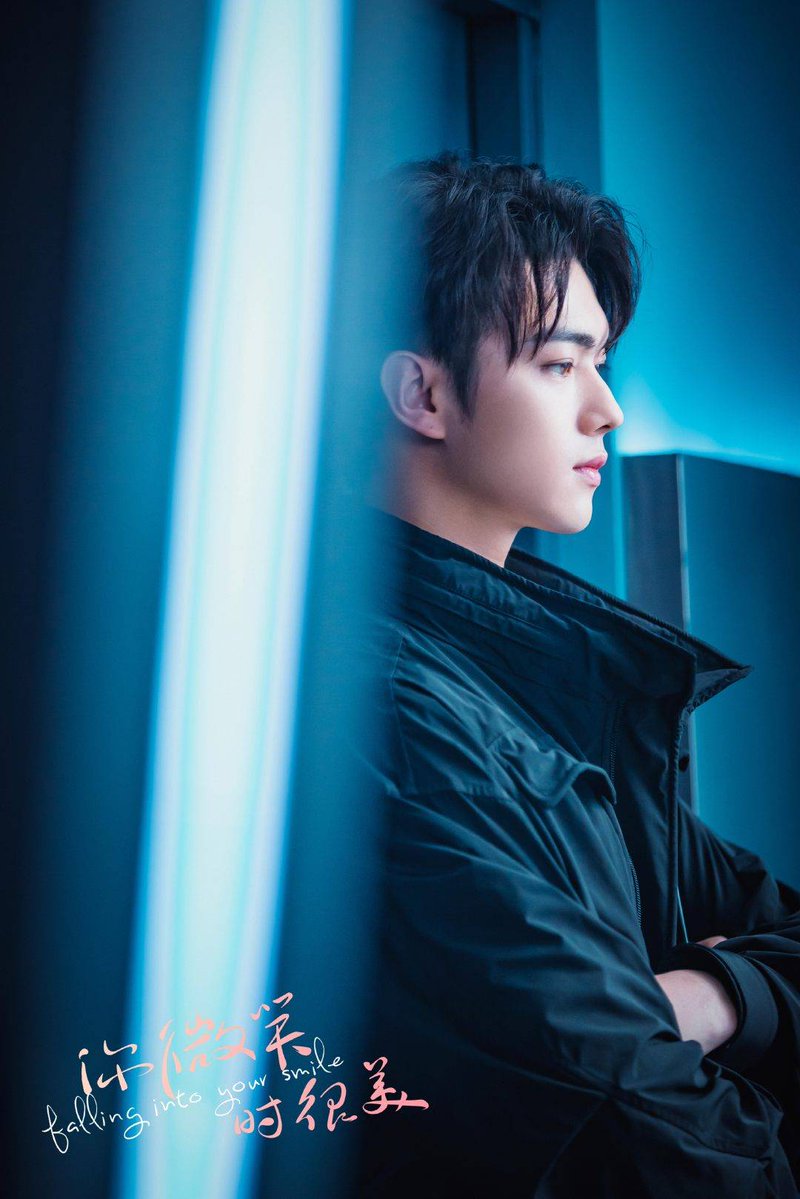 Pemeran Falling Into Your Smile (C-Drama 2021)