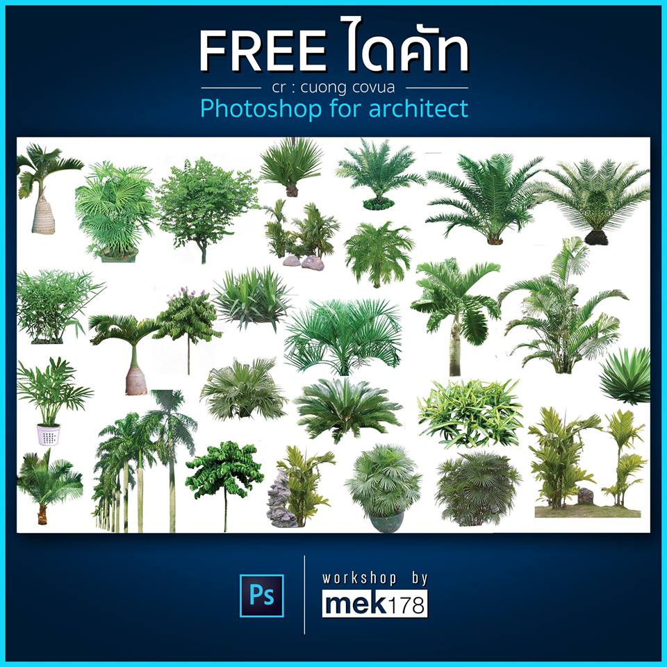 10. PSD Plants File For Post Production