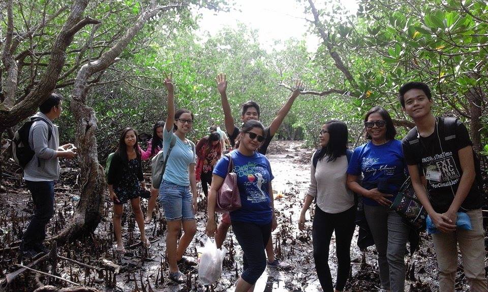 Mangroves: MANGROVES IN BACOLOD, LANAO DEL NORTE, PHILIPPINES