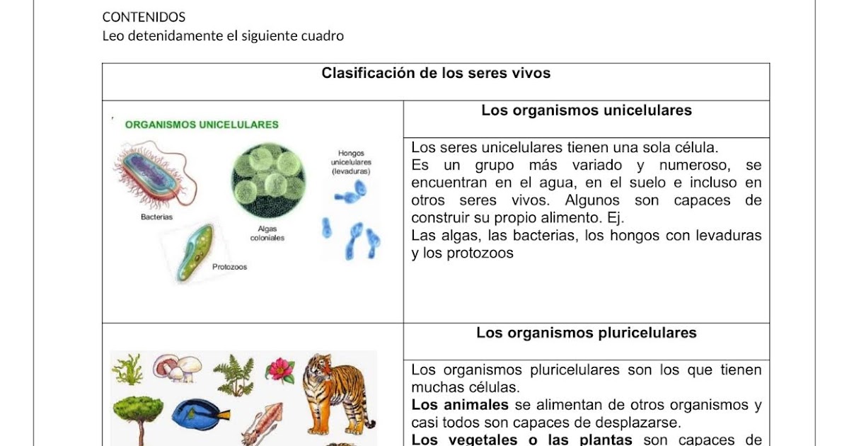 Exploremos la Ciencia Grado Cuarto : ORGANISMOS UNICELULARES Y ...