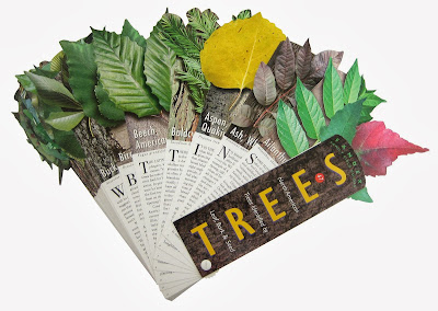 Eccentric Eclectic Woman: Fandex Family Field Guide Review and Educents ...