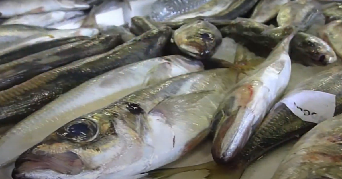 Fish and Shellfish: Fish spoilage