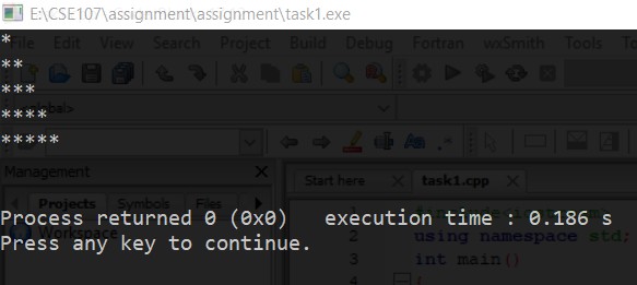 C++ basic input output