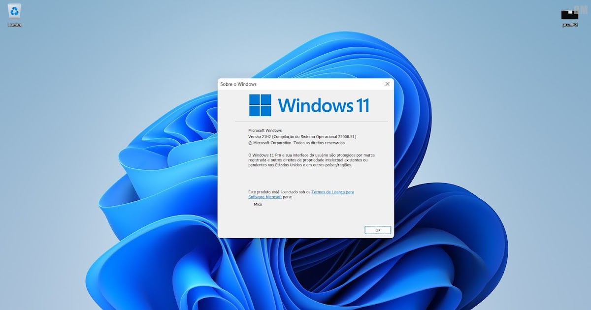 Windows 11 Build 22000