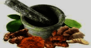 Cara Membuat Jamu Ayam Aduan Alami Sejuta Manfaat Untuk Perawatan Ayam ...