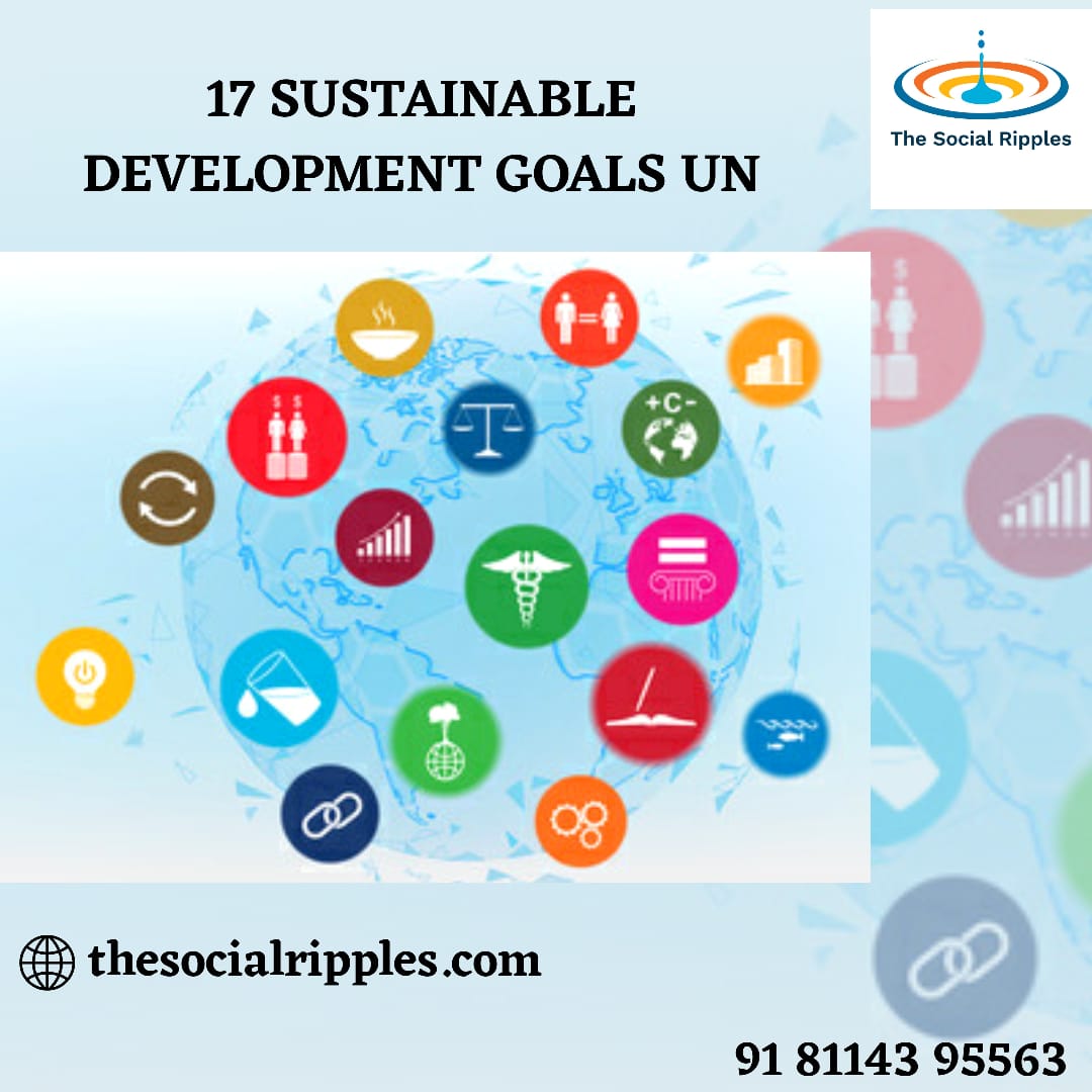 Sustainable Social Development: An aligned mission with United Nation ...
