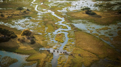 Proses pembentukan Delta
