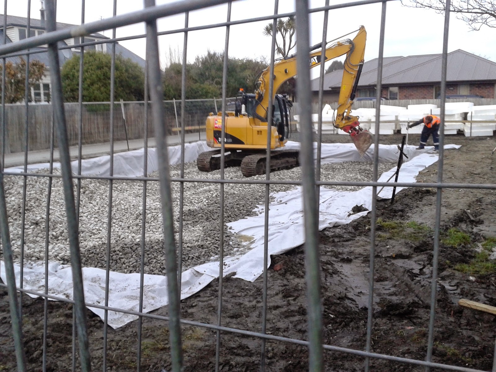 Blessed Economist: Rib Raft Foundation