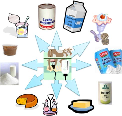 EL TROMPO DE LOS ALIMENTOS: FRANJA AZUL