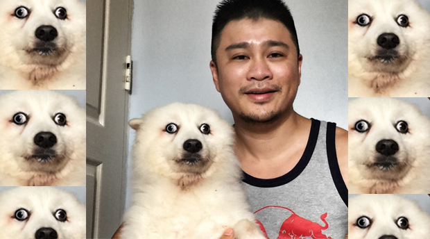 La mirada de este perro provoca una batalla de memes