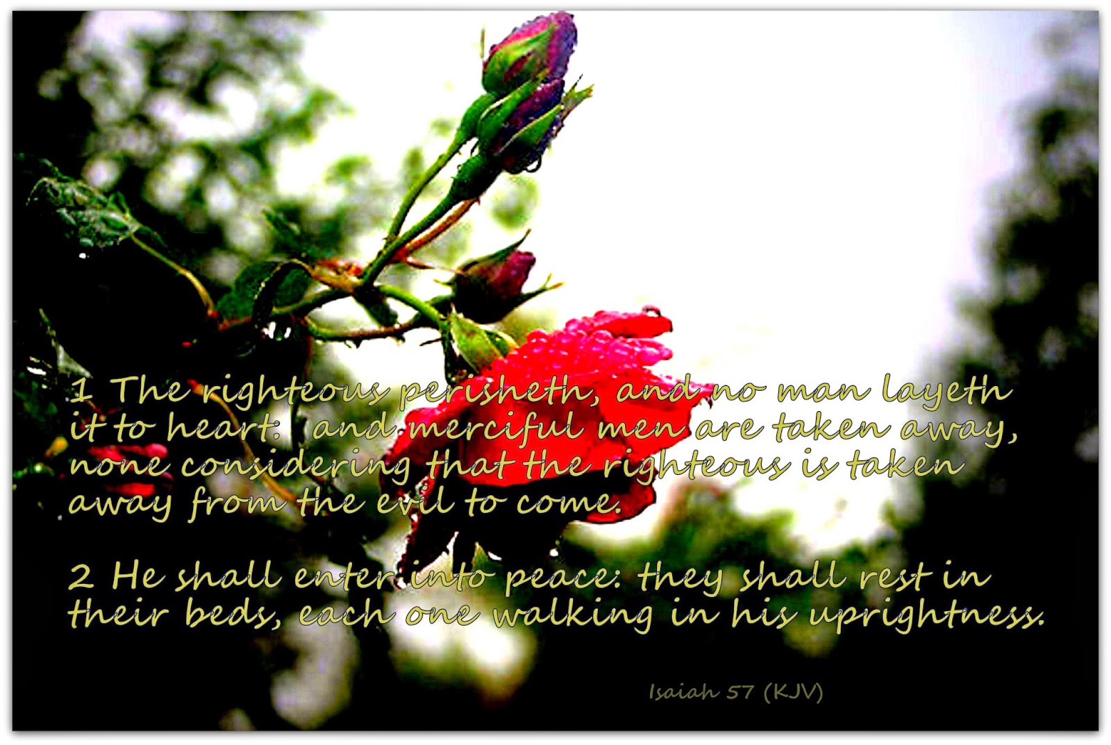 Red Pill Diaries: Isaiah 57 (KJV)