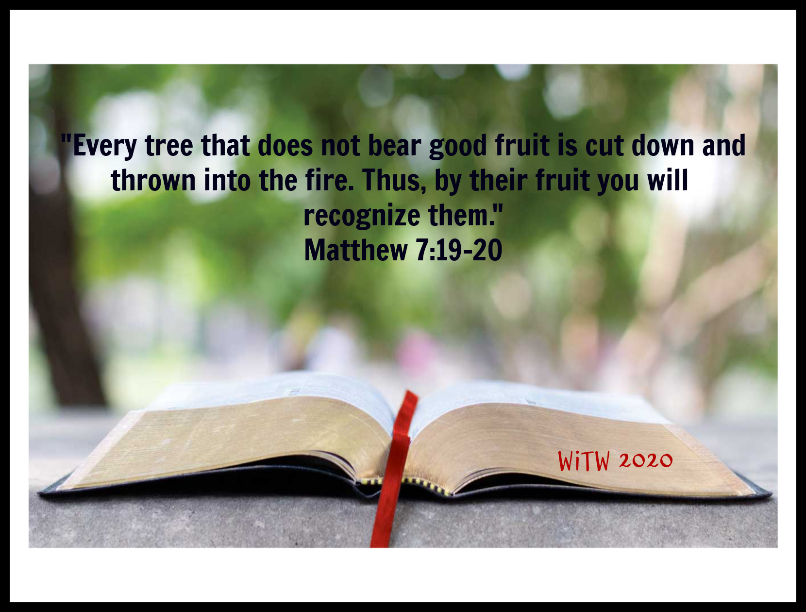 Walking In Wisdom Scripture Saturday Matthew 7 19 20 Week 48 walking-in-wisdom-scripture-saturday-matthew-7-19-20-week-48