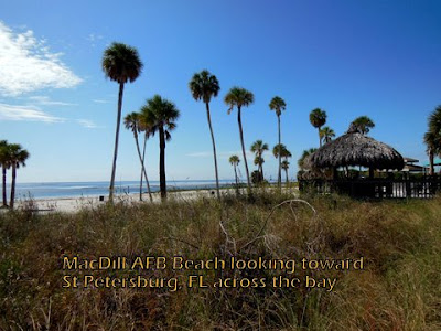 Rocky Top Ramblers: Macdill AFB Famcamp Recreation Area