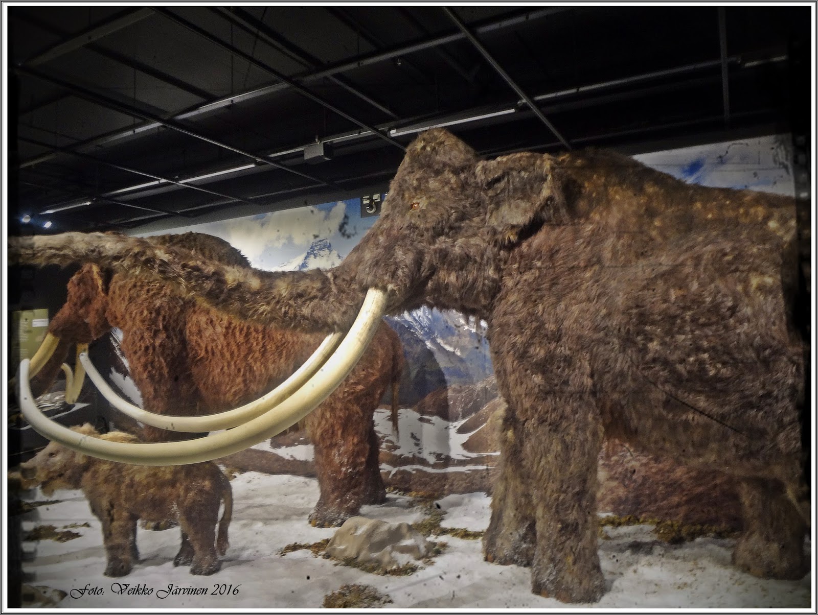 Piippukylästä: Mammutin matkassa.