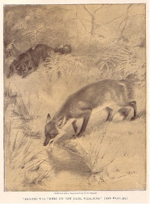 Rayos C en la oscuridad: ERNEST THOMPSON SETON, LOBO DE LOS BOSQUES