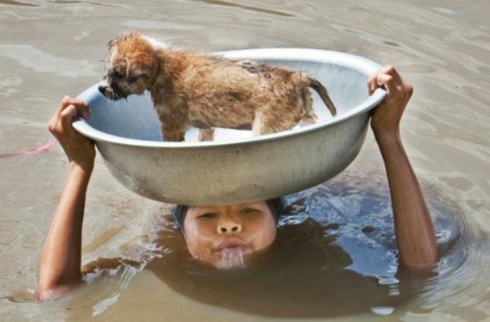 People doing amazing things for animals (28 pics) | Amazing Creatures