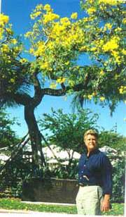 Mark's Urban Forest: Annie Beck Memorial Tree