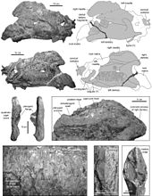 California State Dinosaur