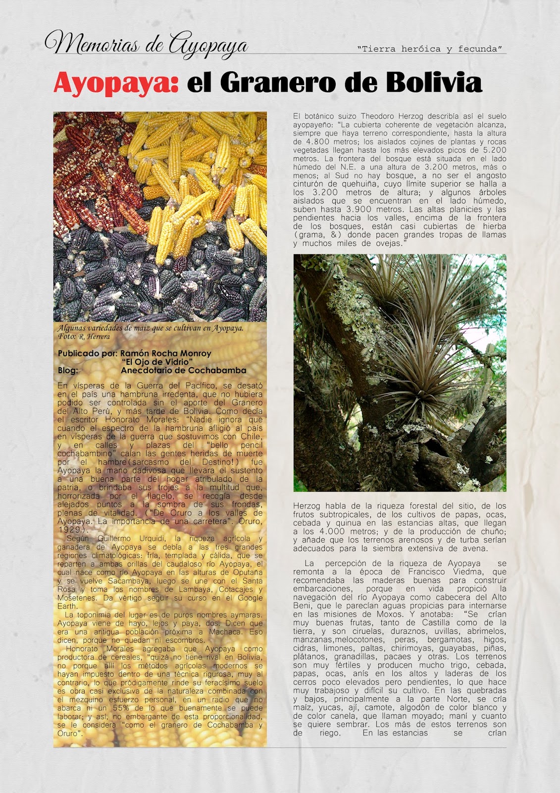 AYOPAYA DOCUMENTA: 2015