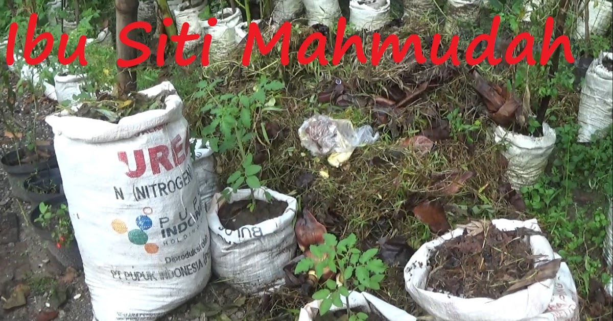 Membuat Kompos Sampah Daun dan Rumput Secara Mudah