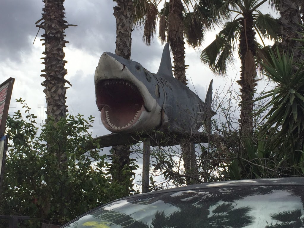 Dearly Departed Tours Hollywood: JAWS Shark in the trees - Junkyard Bruce