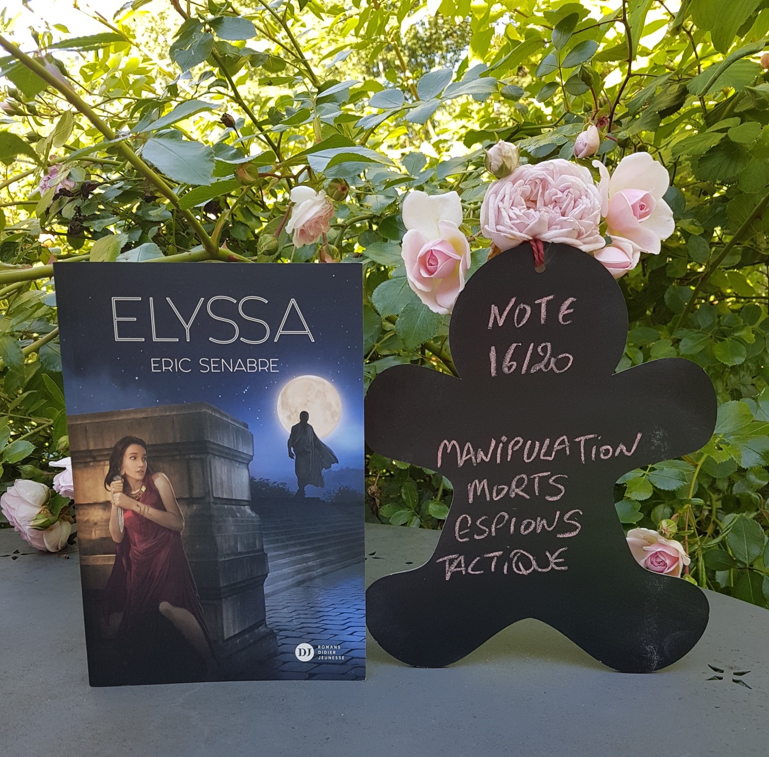 Les lectures de Mylène: Elyssa de Carthage de Eric Senabre