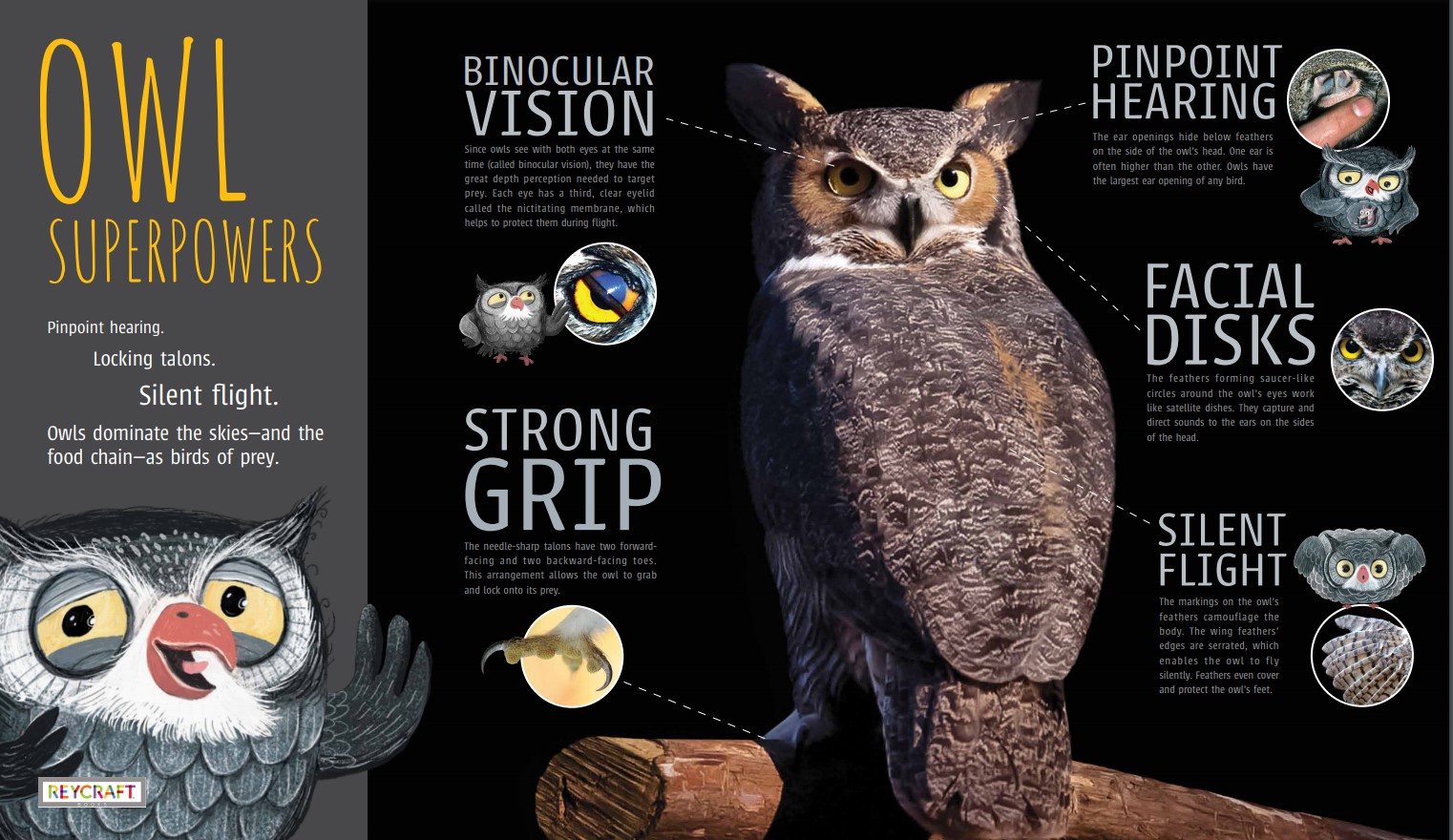 Owl Poster - Annette Whipple, Nonfiction Children's Author and Speaker