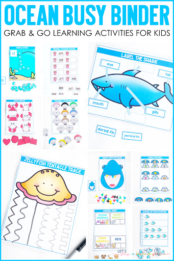 Ocean Theme Activity Binder Activities | Lets Play.Learn.Grow