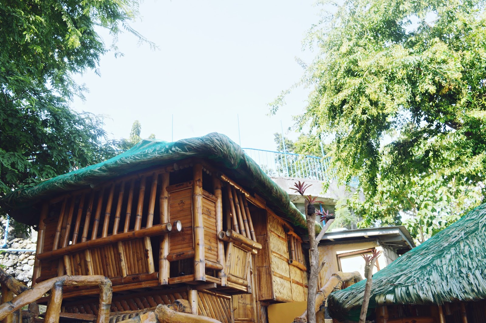 Day dreamer and Believer: Kamantigue Beach and Diving Resort