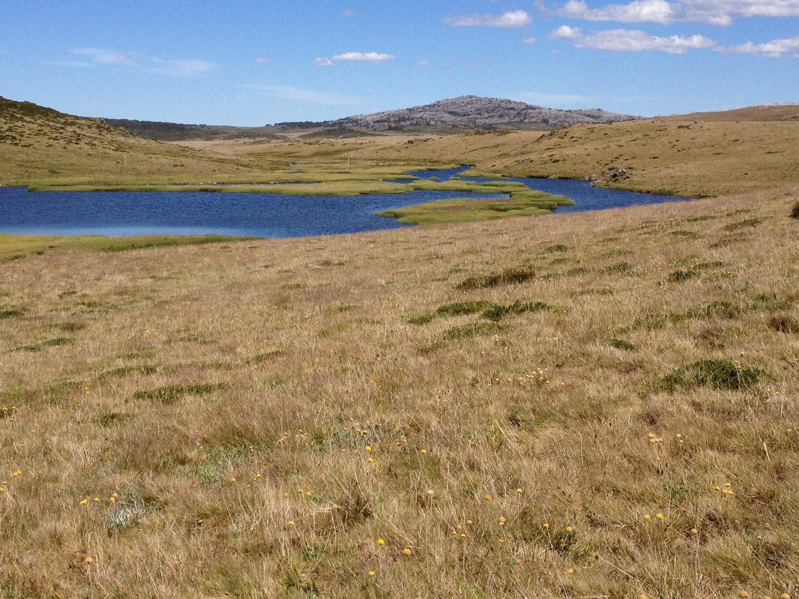 walkabouters club of victoria inc: Pretty Valley - Tawonga Huts - Mount ...