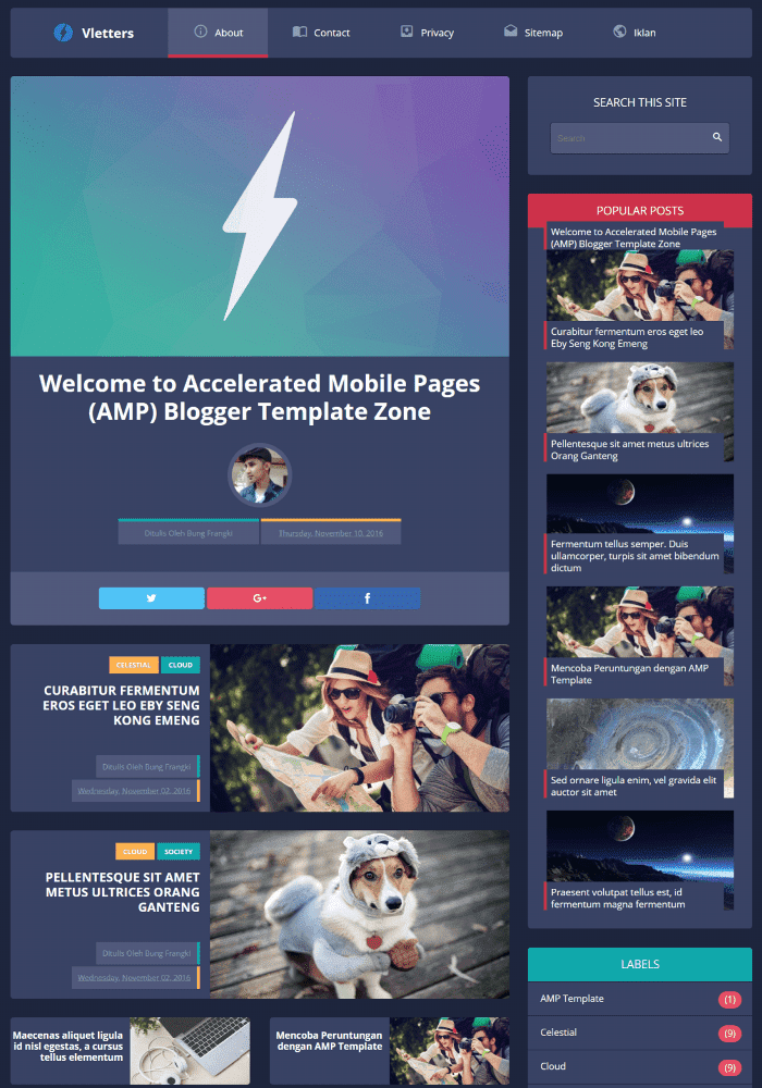 AMP Blogger Templates in 2021 Free Download | Blogger AMP Themes