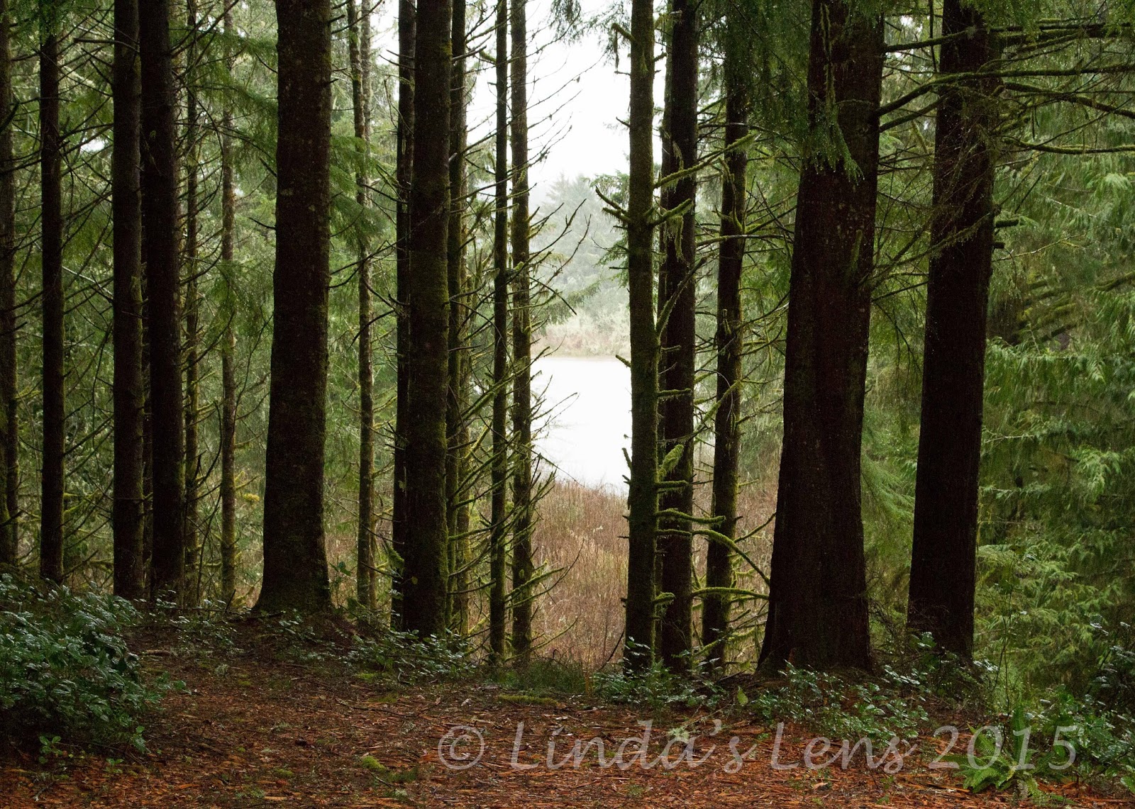 Linda's Lens: Fort Clatsop