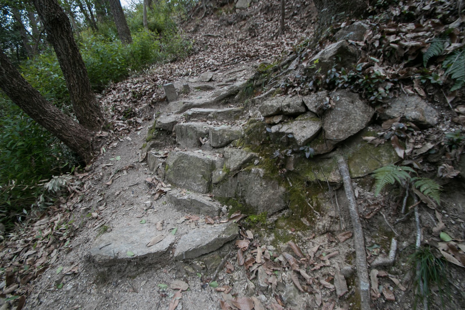 Niitakayama Castle -Intellectual pillar of Mouri clan (2)- | Japan ...