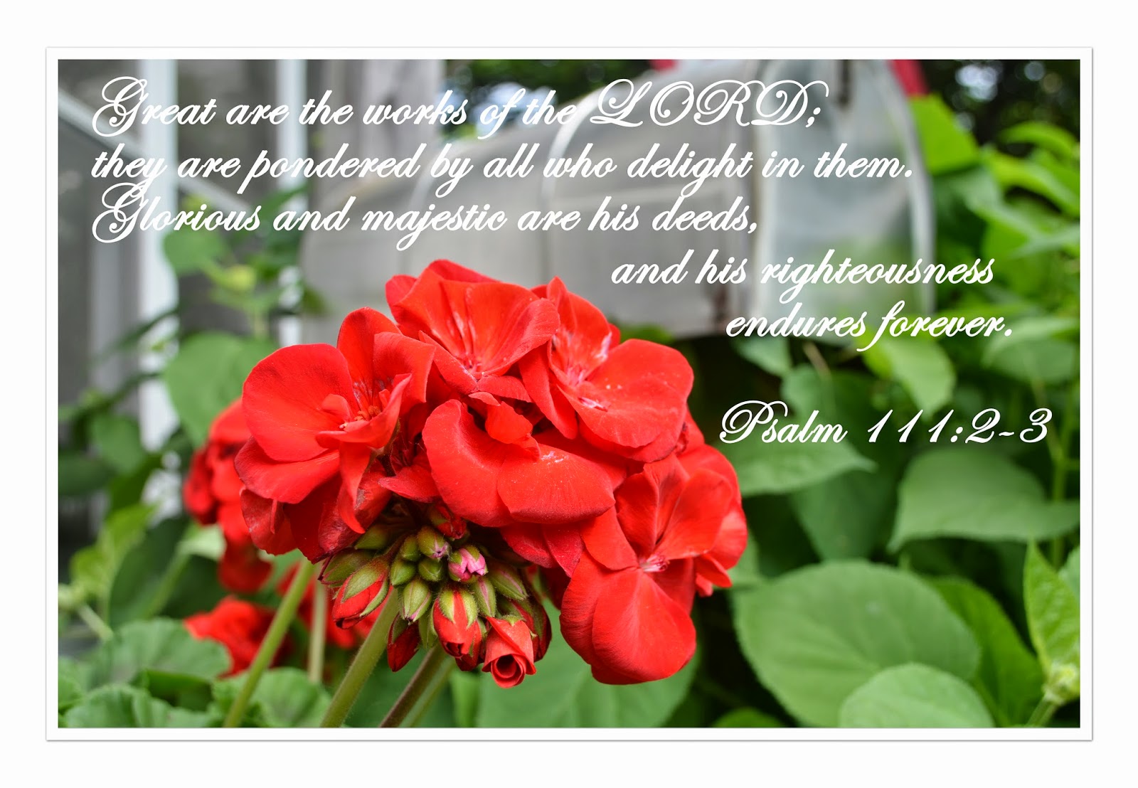 Pippy Love Psalm 111 Pippy Love Psalm 111