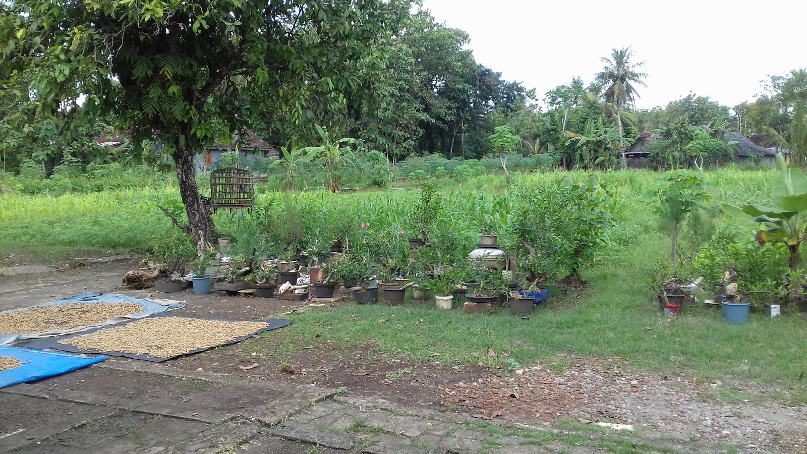 ENIS BLOG: BERKUNJUNG KE TABON