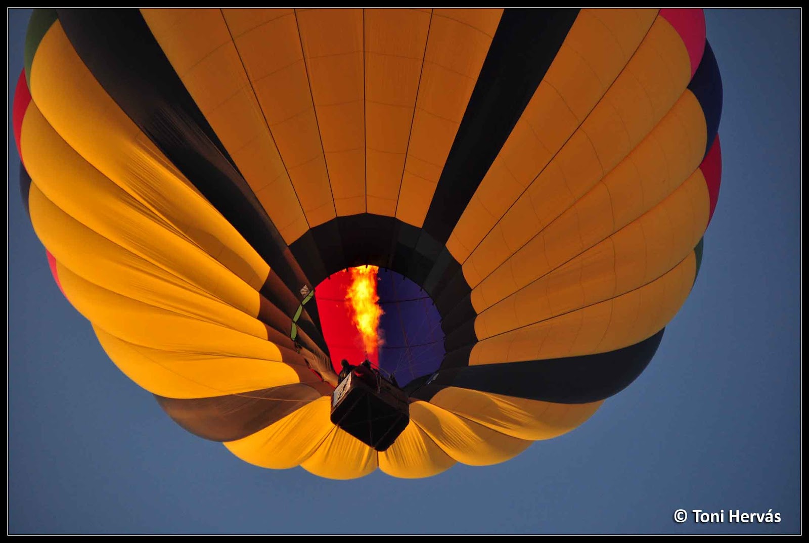 Toni Hervás: Un globo, dos globos, tres globos....