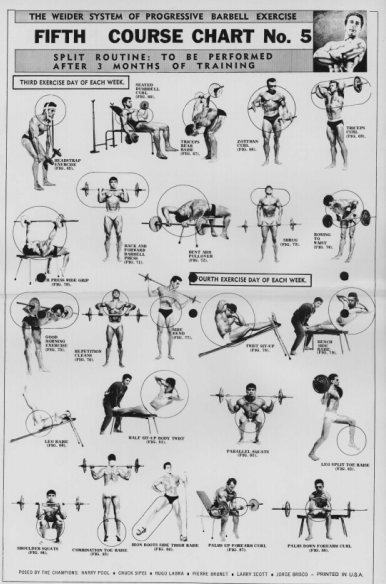 Old School Bodybuilding Charts. Compiled by Veeraj Goyaram ...